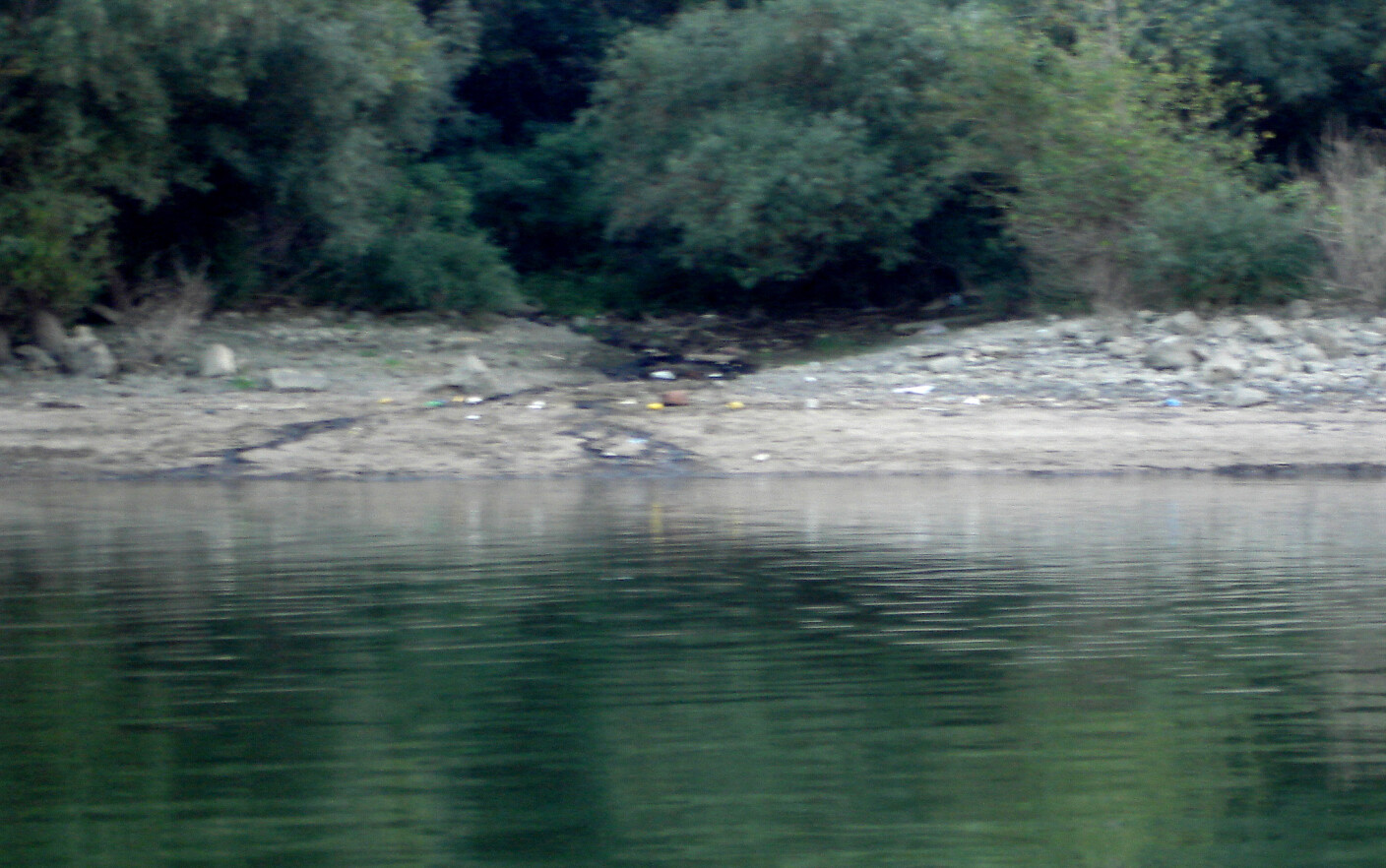 Dunarea poluata, in apropiere de Cernavoda - Stirileprotv.ro