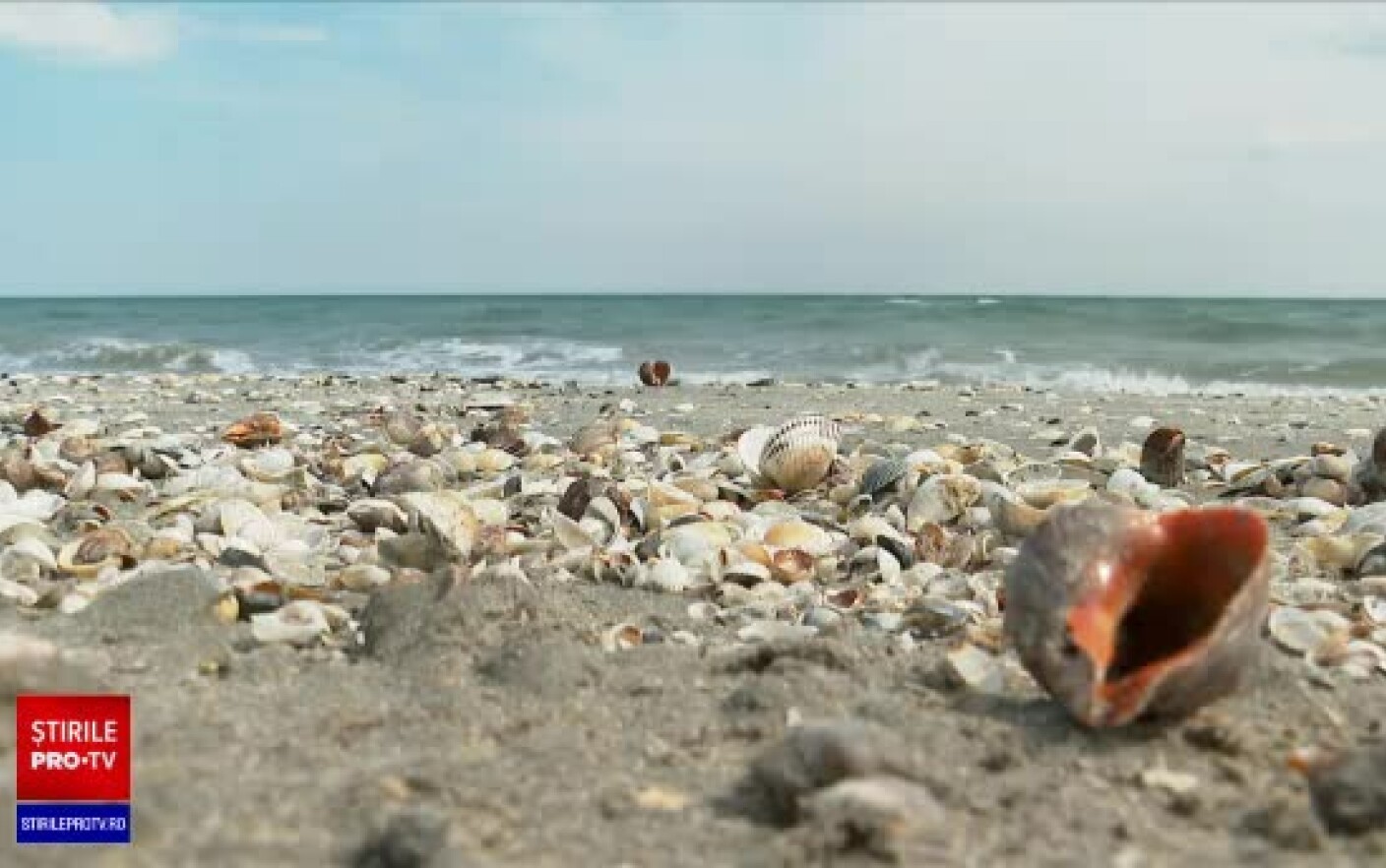 Video - Noi reguli de acces la Vadu și la Corbu. Ce nu mai au voie să ...