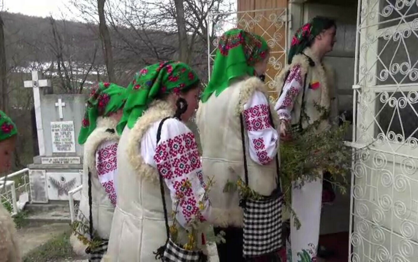 Ce simbolizează ramurile de salcie și de ce trebuie culese în Duminica ...