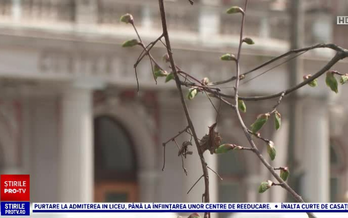 Video - A început primul proces din România legat de climă. „În ...