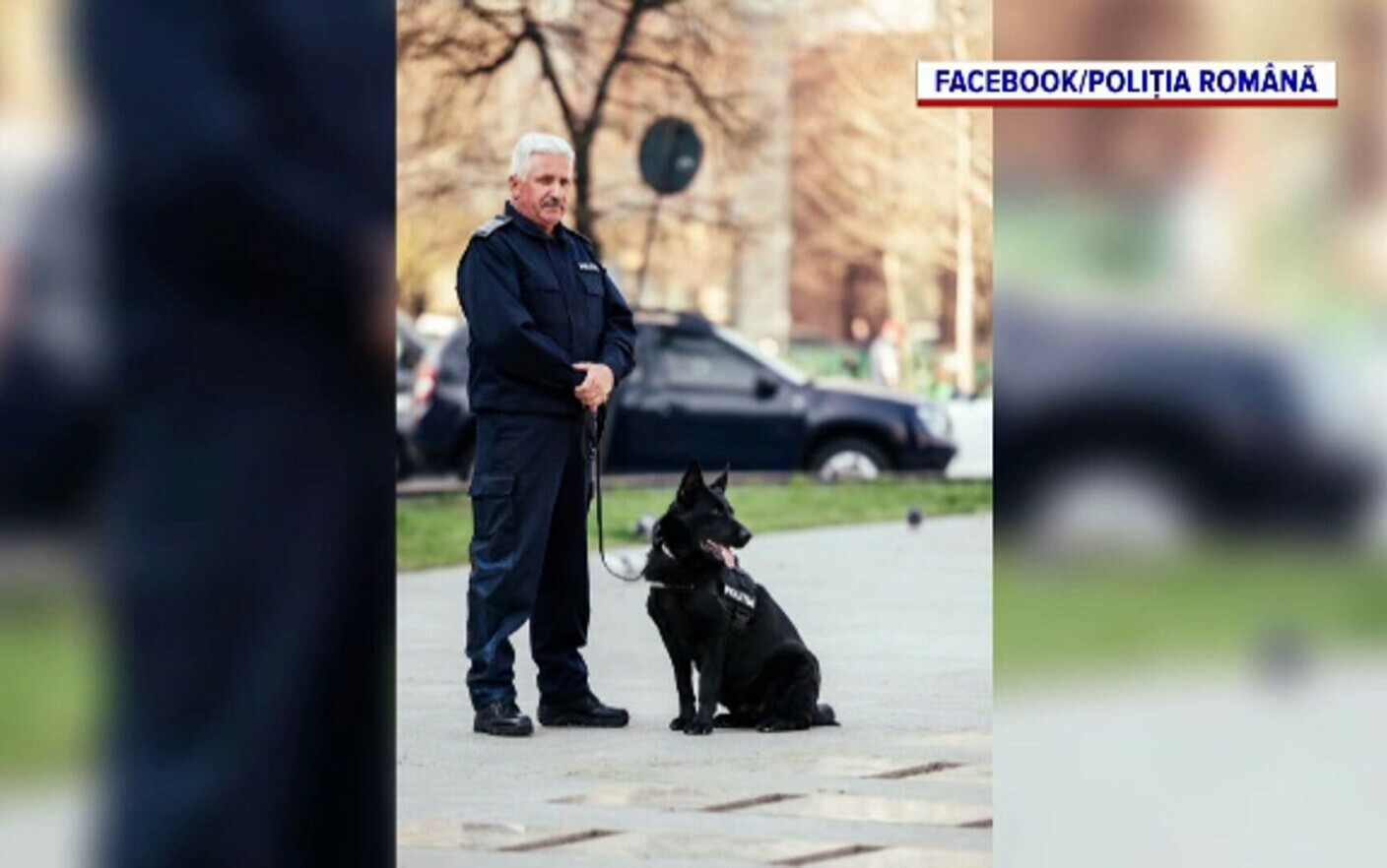 Câinii Poliției Române ar putea face parte dintr-o structură nouă ...