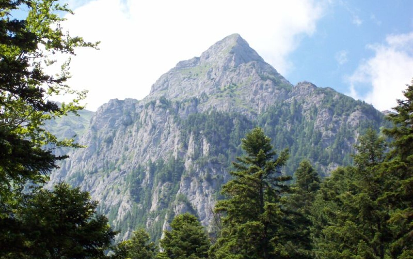 A pierit dupa ce a cazut intr-o prapastie de 100 de metri, in Muntii ...