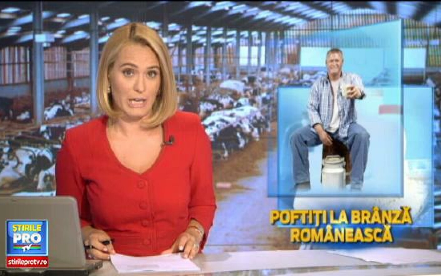 Video - Telemeaua romaneasca se vinde in Occident si cu 200 lei/kg ...