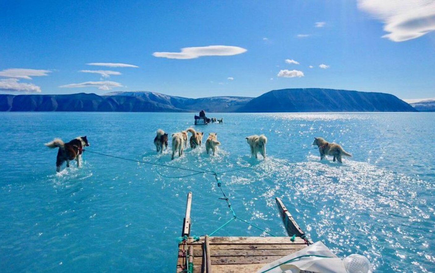 Banchiza polară se topeşte mai rapid decât se estimase. Cercetători ...