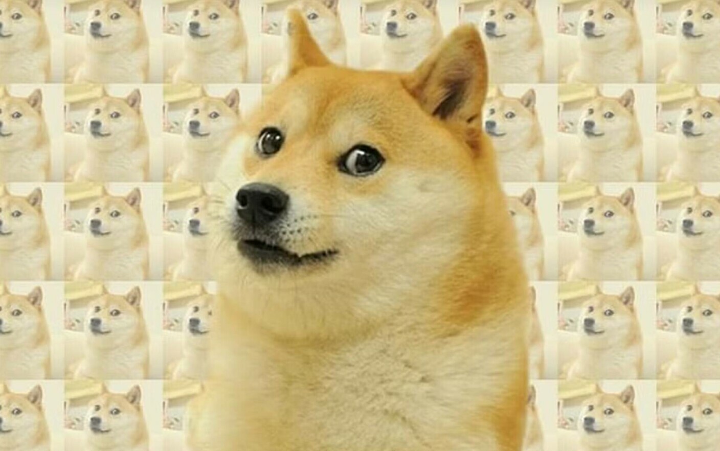 Ce s-a întâmplat cu câinele după care s-a creat meme-ul cunoscut de ...