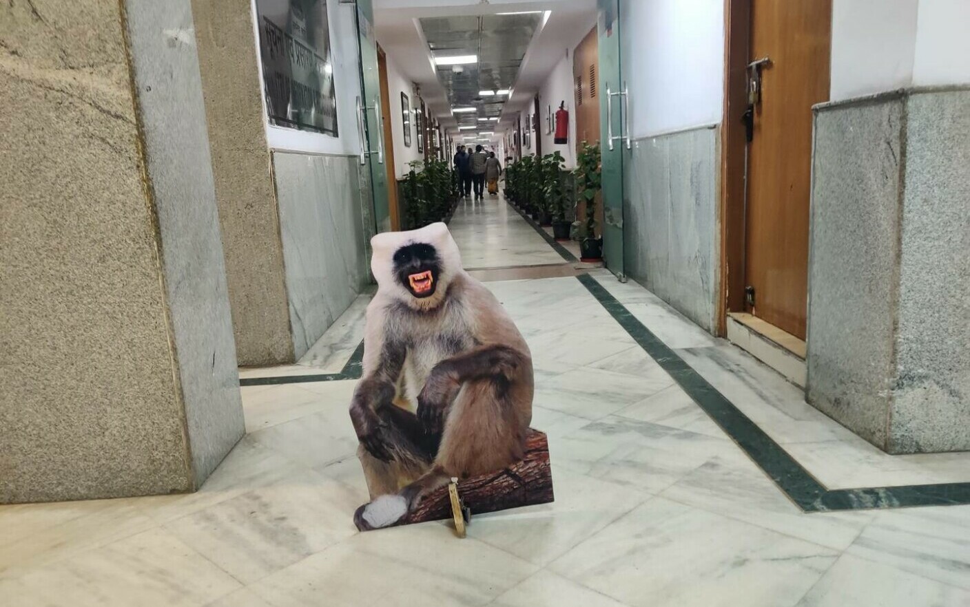 Summit G20 în India: În jur de 30 de „oameni-maimuţă” vor fi ...