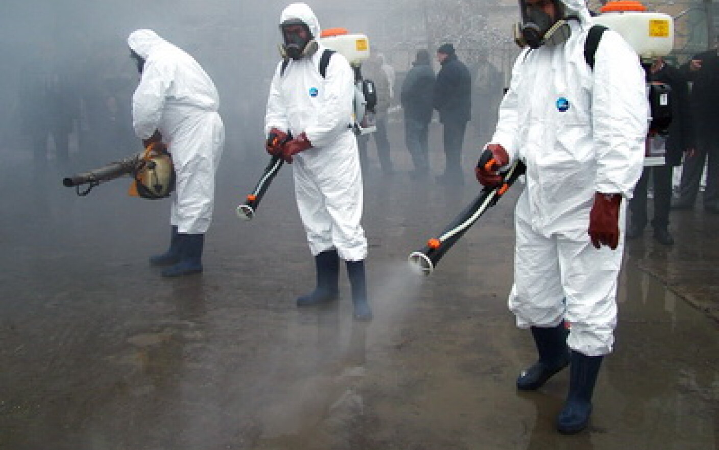 Gripa aviara face victime colaterale. Fost director la Transporturi ...