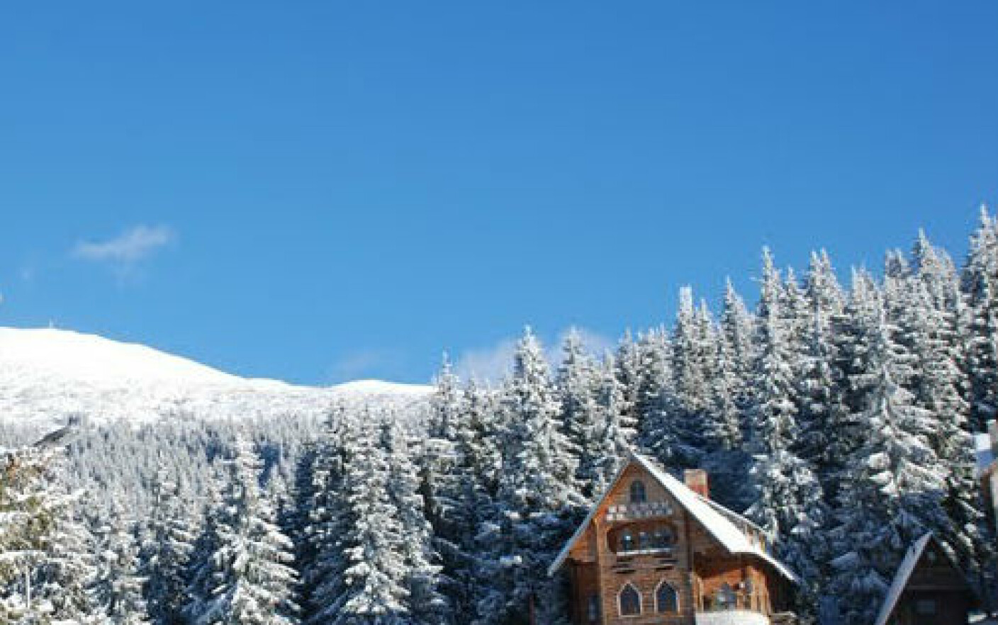 Invitatie la „Carnavalul Zapezii”.Afla ce petreceri si concursuri se ...