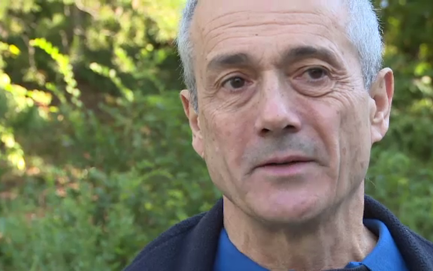 Ce este Teoria Constructală, cu care românul Adrian Bejan a uluit ...