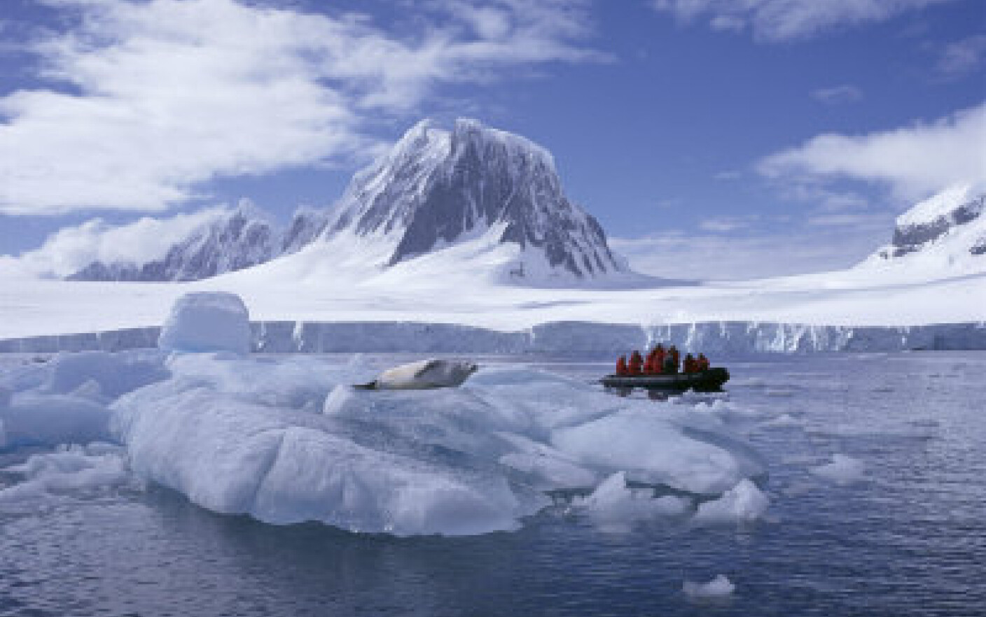 “Extraterestrii” traiesc sub gheata Antarcticii! NASA a filmat unul ...