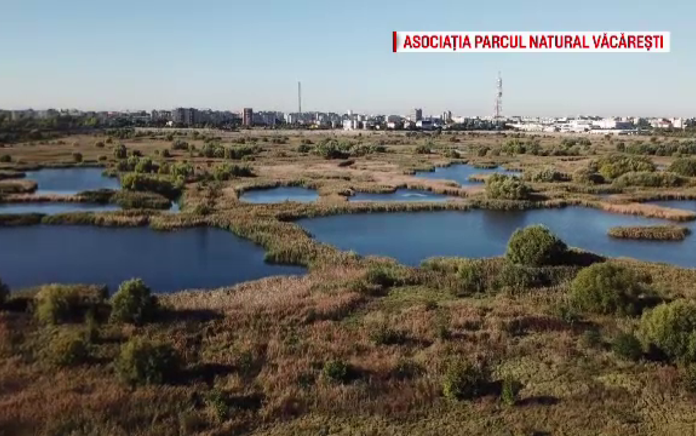 Cum va fi transformată Delta Văcărești într-una dintre atracțiile ...