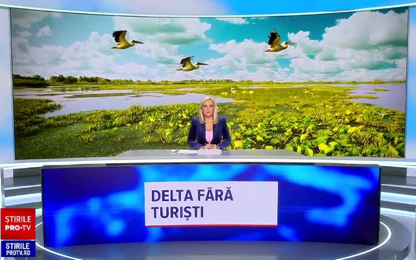 Video - Sute de pensiuni și hoteluri sunt scoase la vânzare în Delta ... Video - Sute de pensiuni și hoteluri sunt scoase la vânzare în Delta ...
