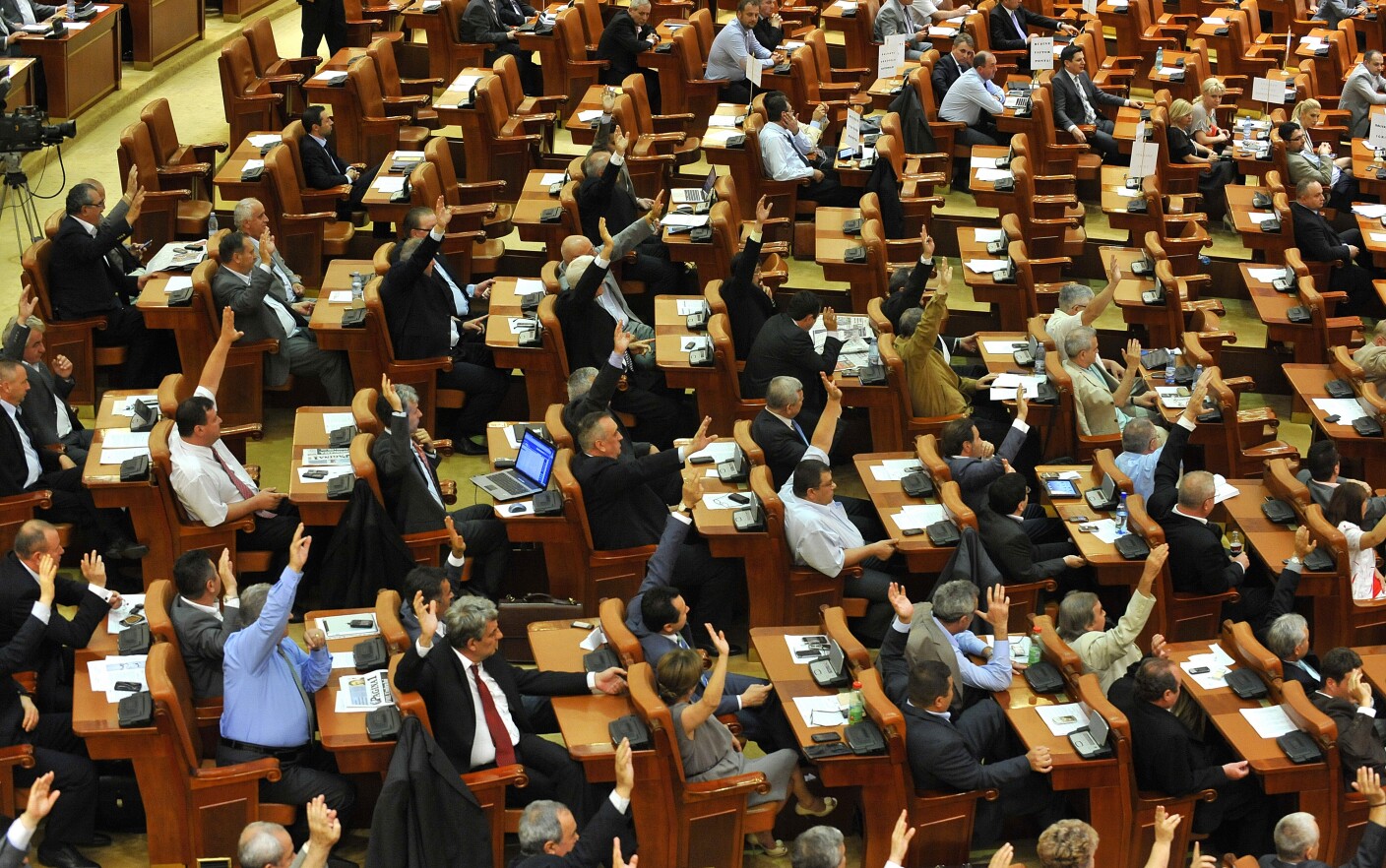 Revizuirea Constitutiei. Amendament pentru interzicerea folosirii ...