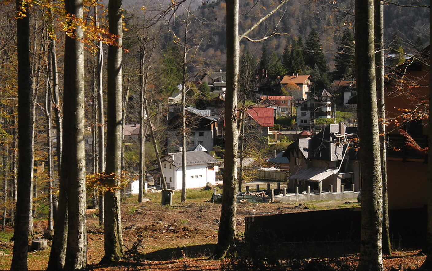 Proiect imobiliar in Parcul Natural Bucegi. Despaduririle ar fi inceput ...