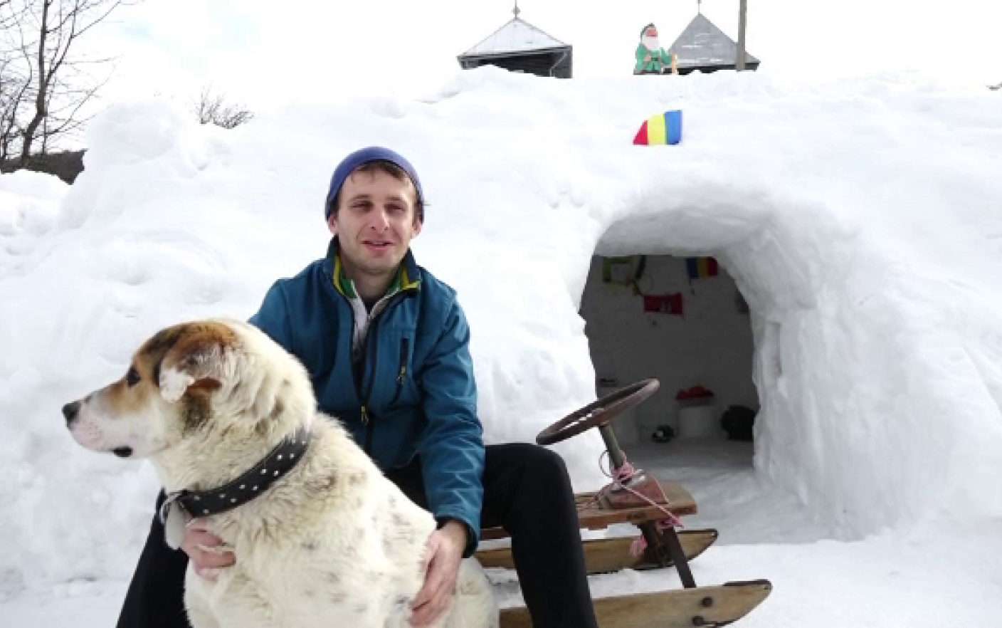 Troiene de 2 metri în Cavnic. Localnicii au început să-și construiască ...