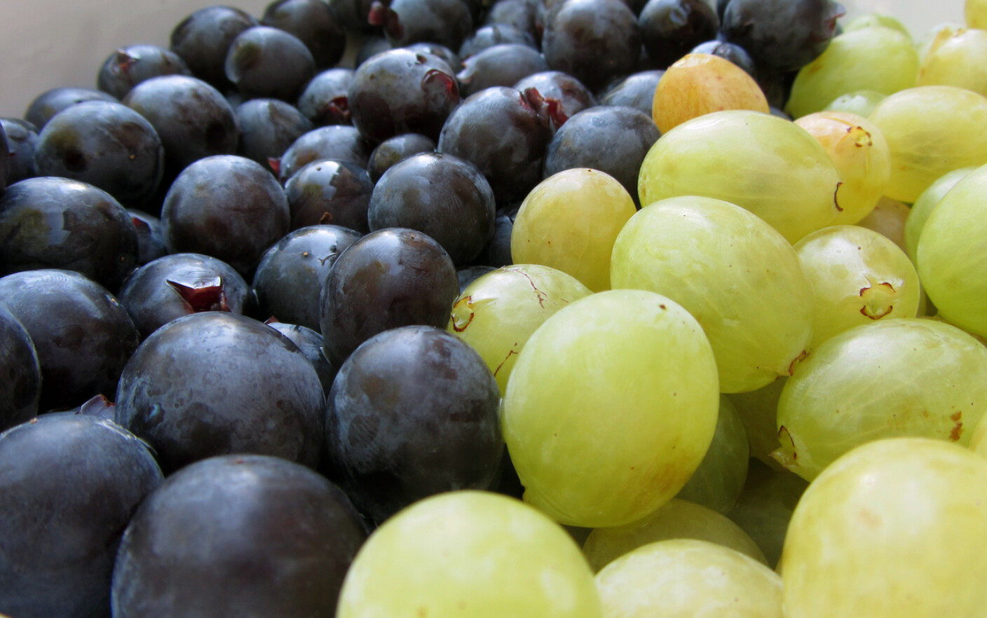 Descoperirea unei femei în strugurii pe care-i cumpărase: „M-a șocat ...