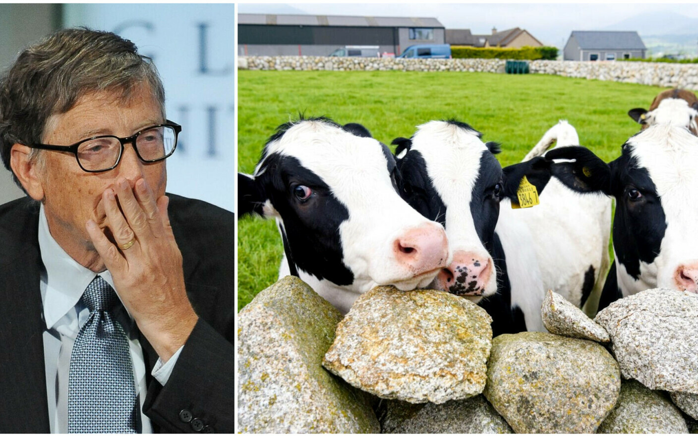 Bill Gates investește 11 milioane de euro pentru a "combate ...