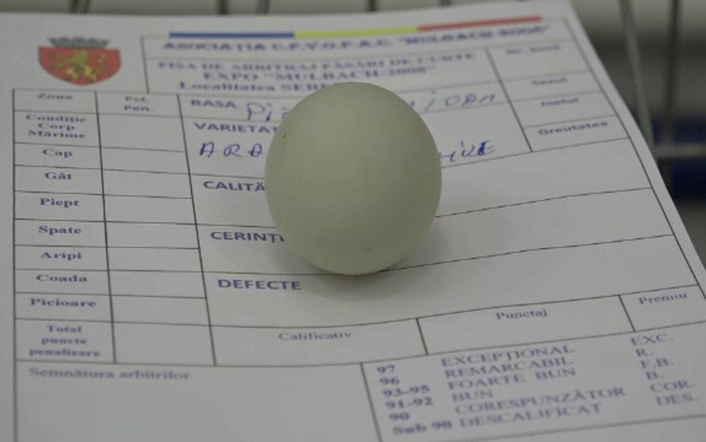 Oul de găină care se vinde cu opt lei bucata. Nu are colesterol și este ...