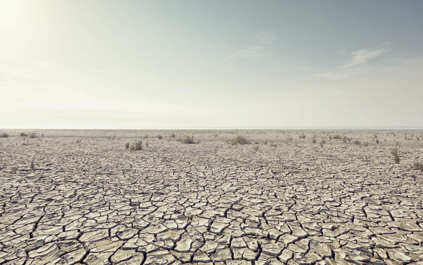 Europa, în pragul unei secete catastrofale și anul acesta ...