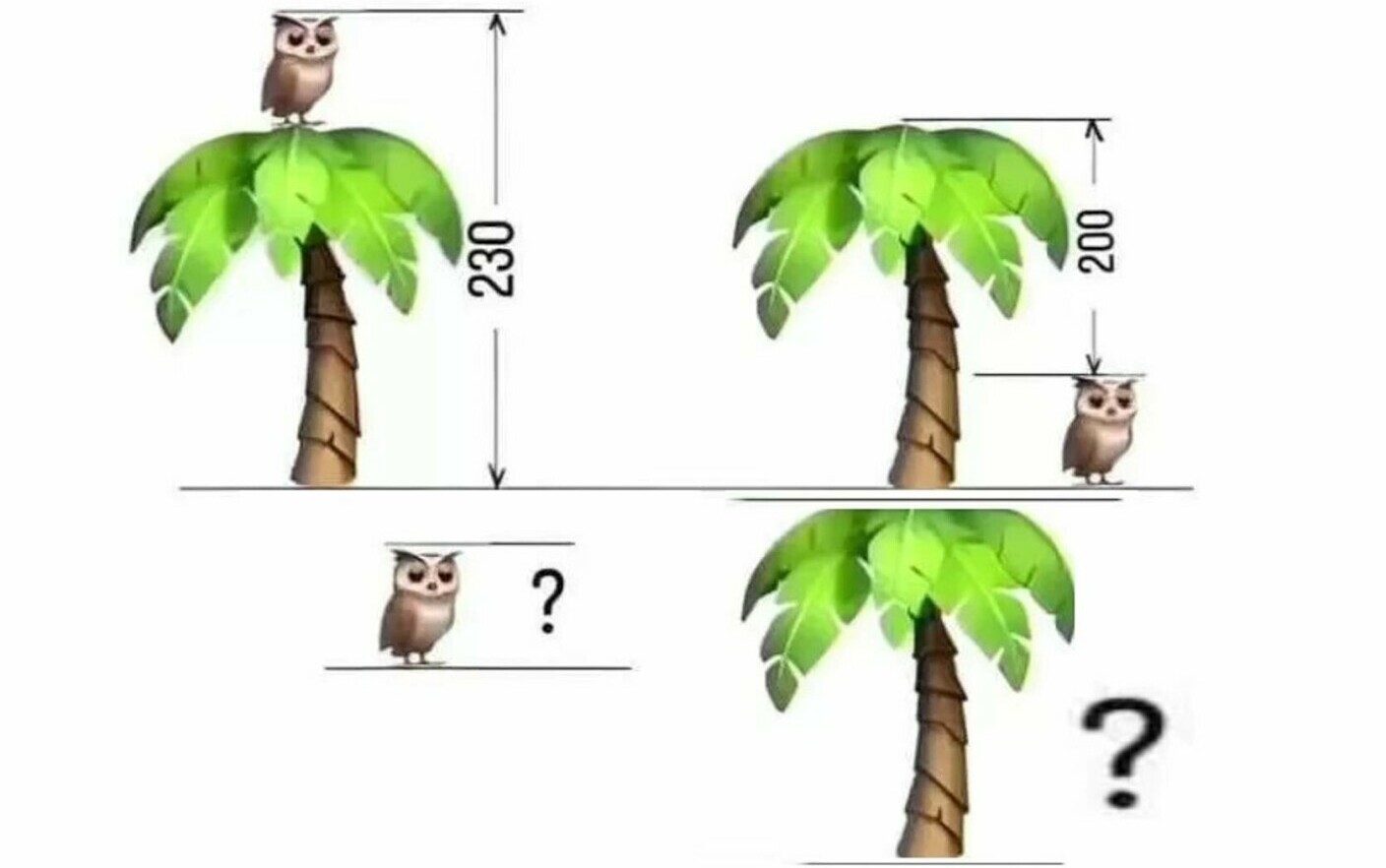 Test de inteligență. Geniile pot găsi înălțimea bufniței și a copacului ...