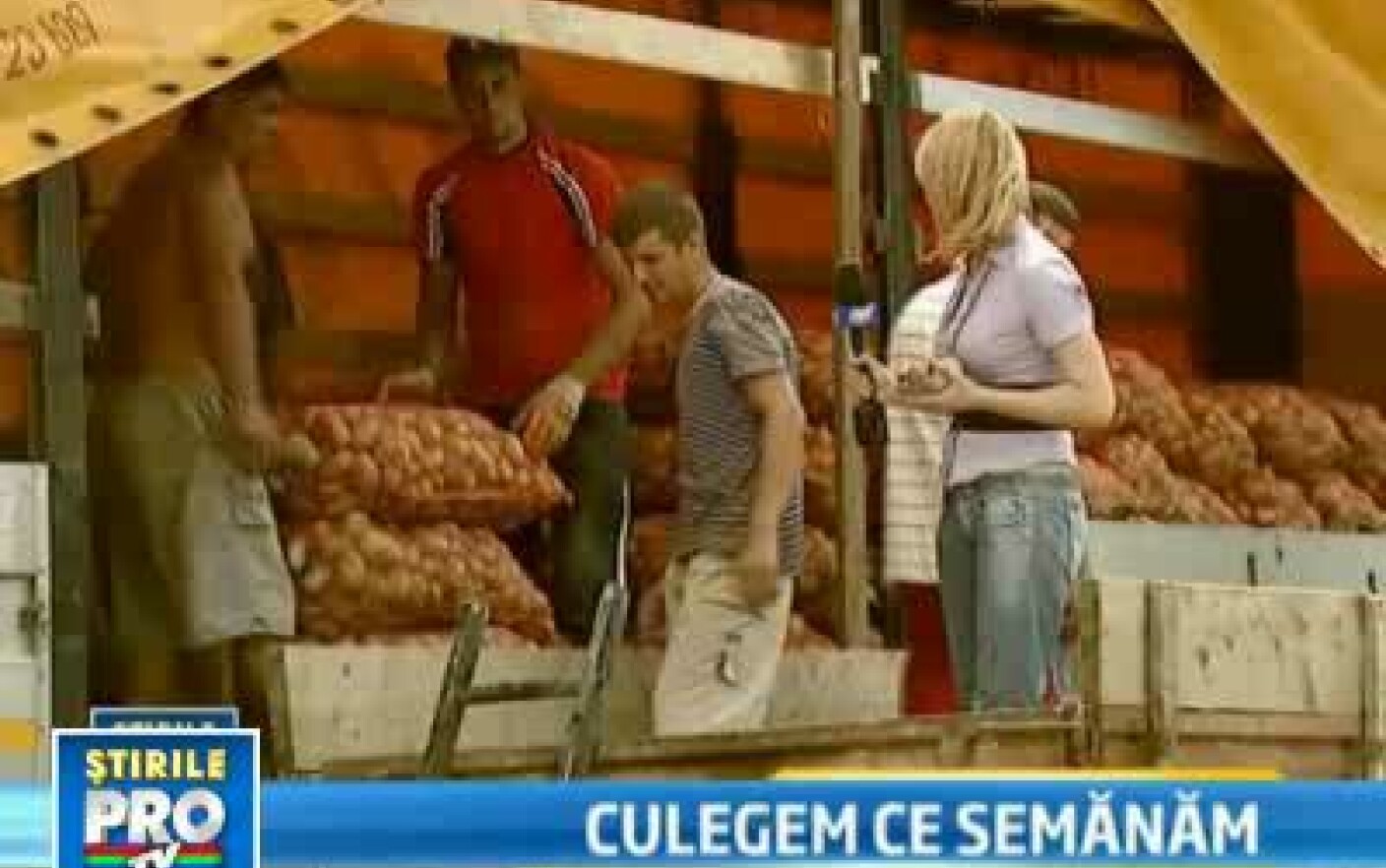 Video - Semintele proaste din import dau