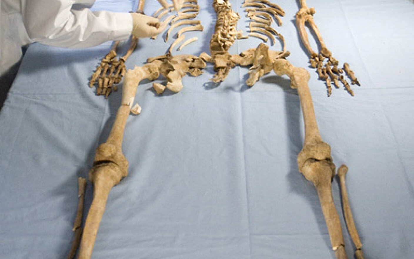 Fragmente de oase umane gasite pe un santier in lucru din judetul Cluj ...