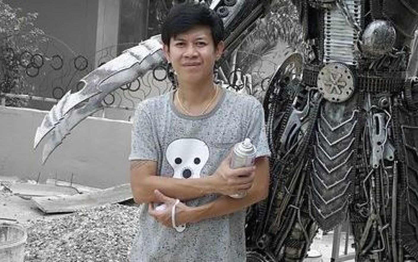 Cum devine o imagine simpla un fenomen pe internet! Ce se ascunde in ...