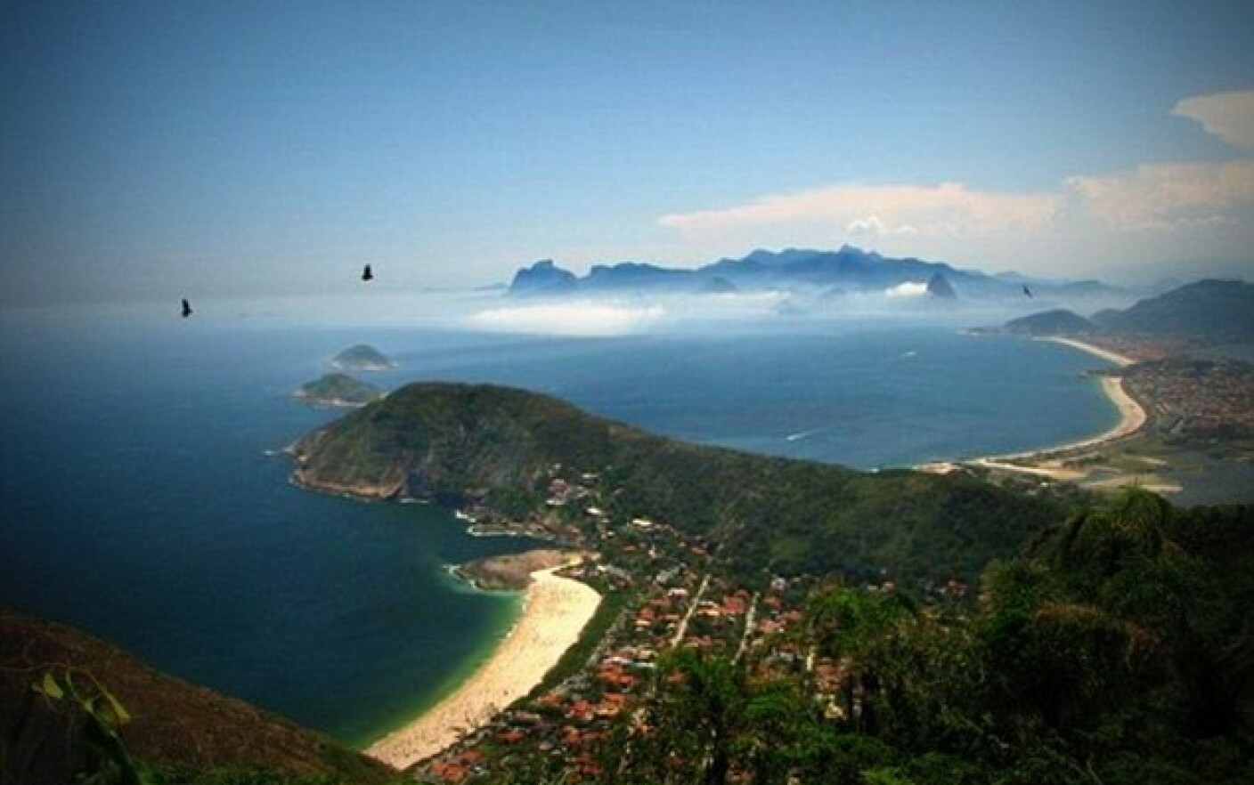 Biserica Catolica din Brazila a taiat o padure tropicala veche de 300 ...