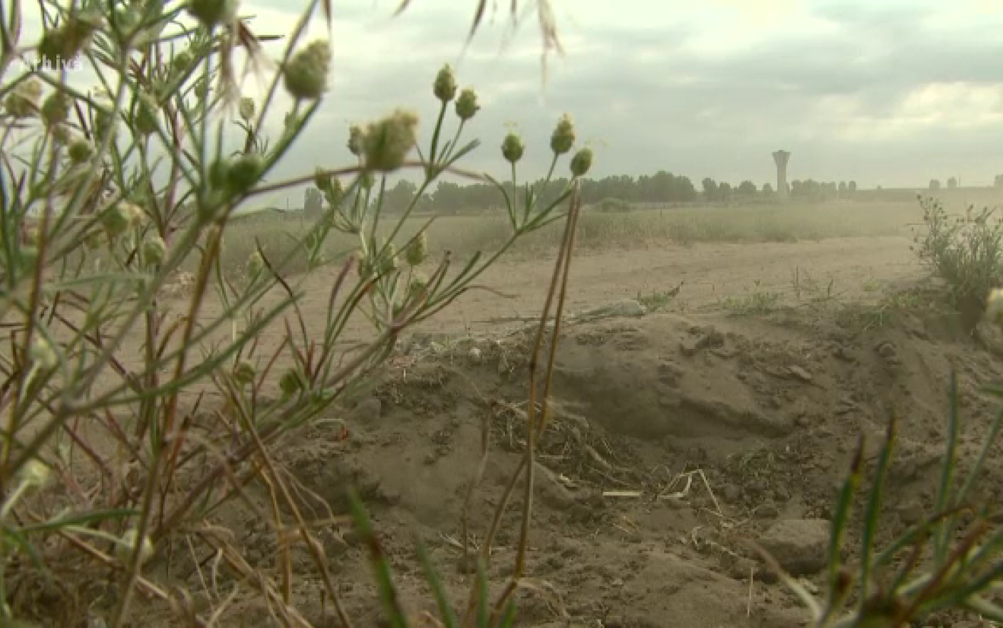 Defrisarile masive transforma sudul Romaniei in DESERT. Proiectul de 5 ...