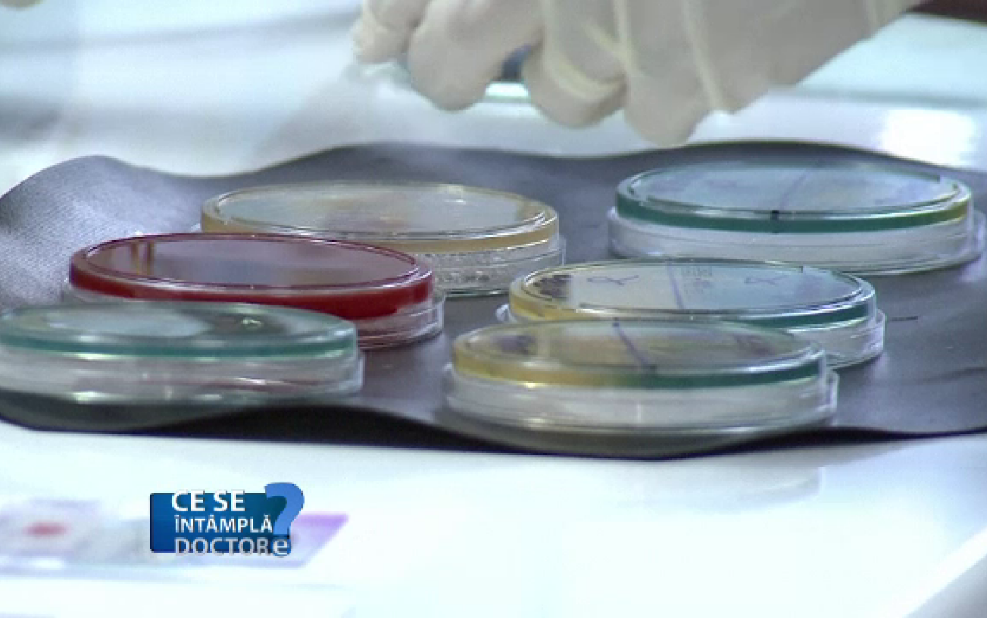 De ce este bine sa lasam copiii sa bea apa dintr-un izvor si sa manance ...