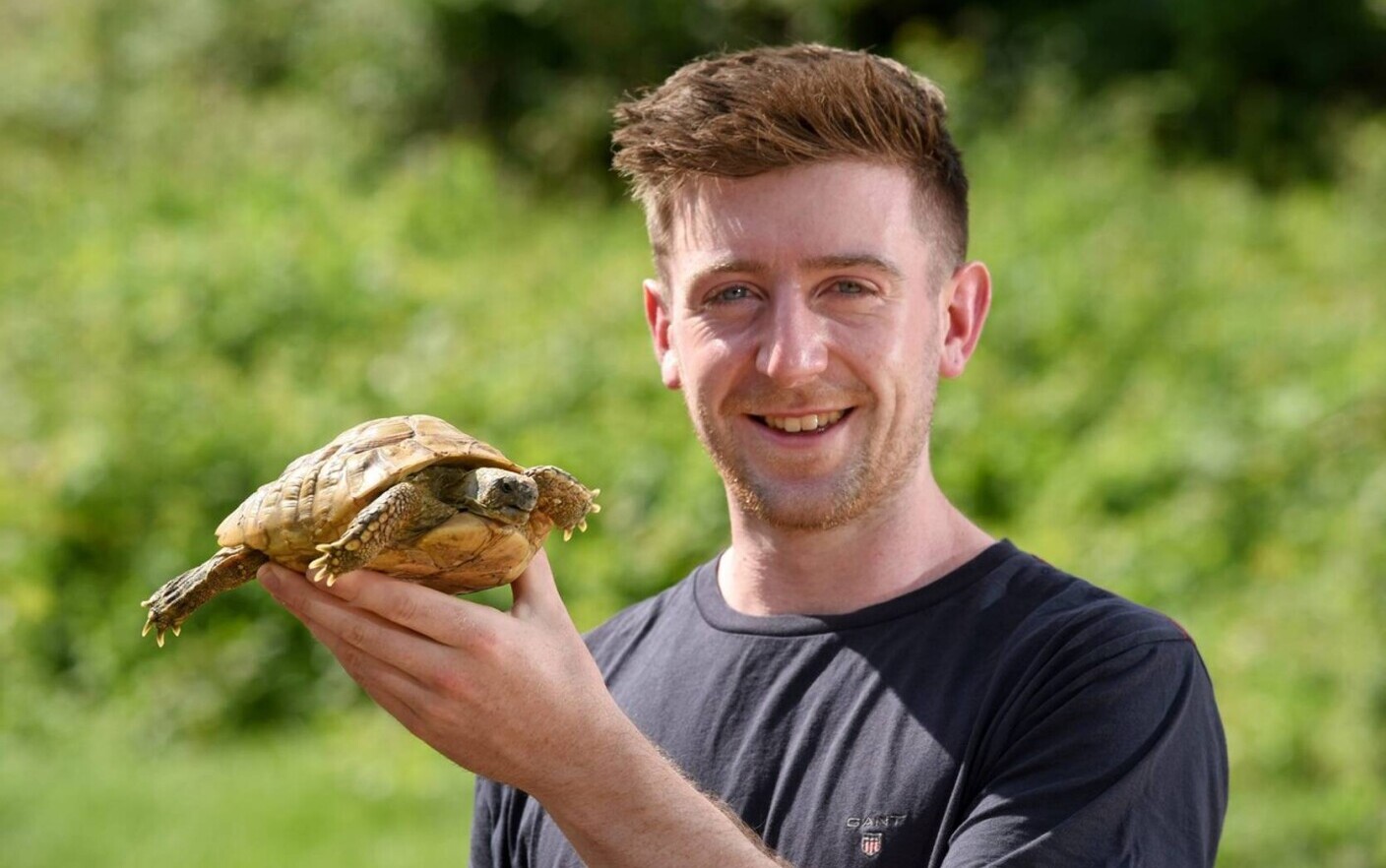O broască țestoasă care a „fugit” de acasă în urmă cu un an, găsită la ...