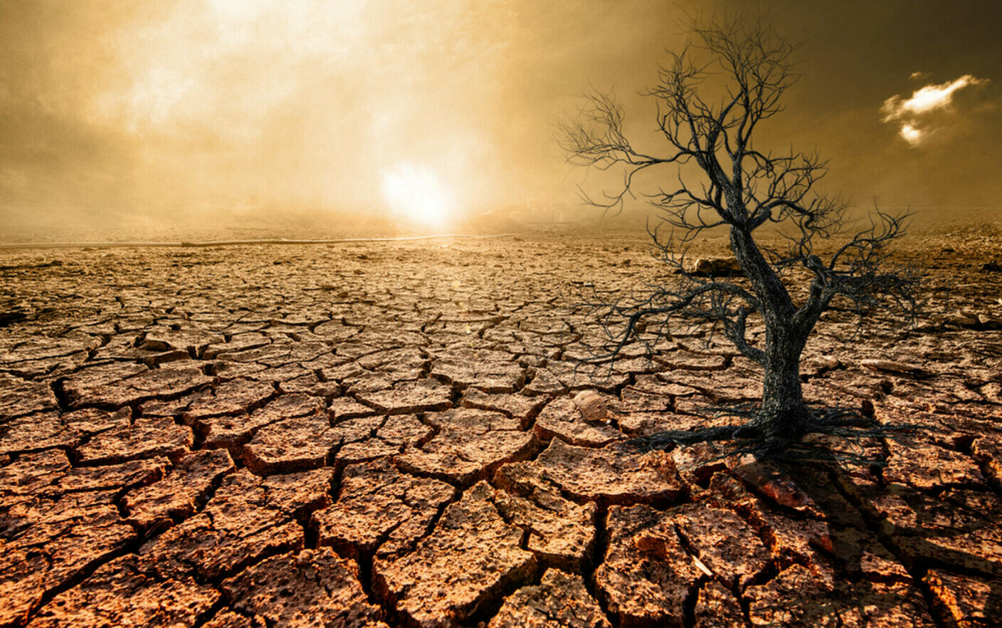 Raport oficial. Jumătate din teritoriul UE, inclusiv România, este ...