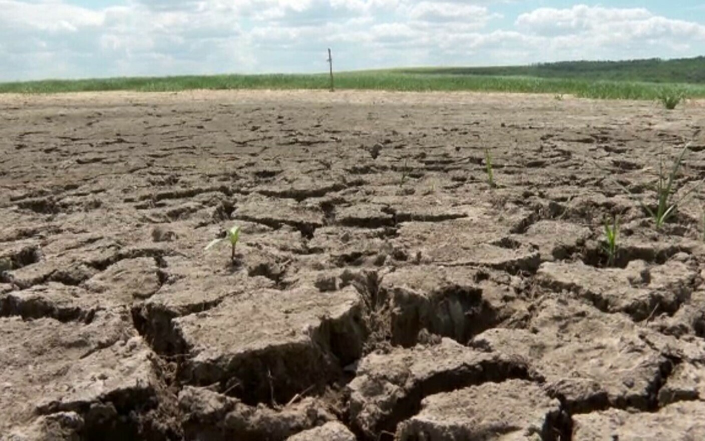 Secetă pedologică în trei sferturi din România. În multe localități apa ...