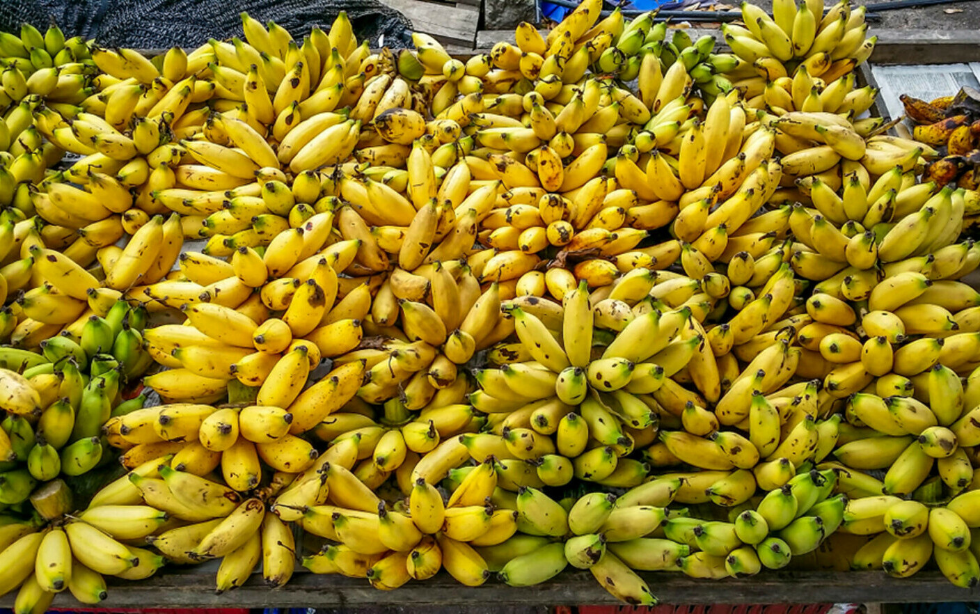 Ce culoare au bananele care pot preveni cancerul. Substanța benefică se ...