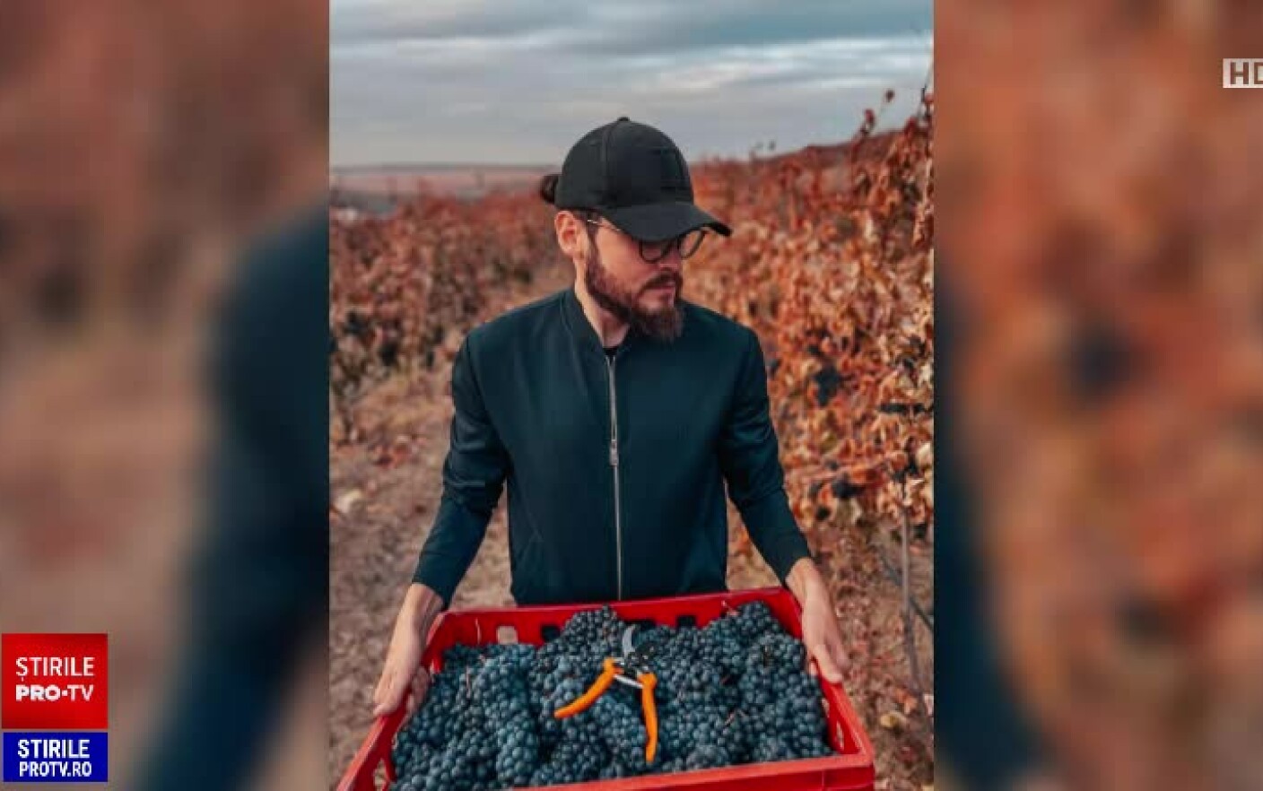 Video - "Tânărul fermier". România are la dispoziție, în 2023, 100 de ...