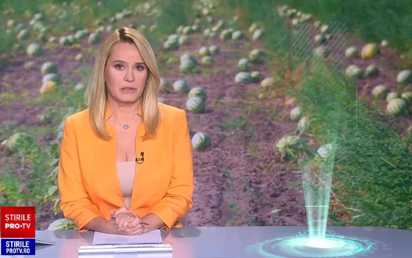 Video - Soiuri exotice de pepeni prind rădăcini în România. Ce fructe ...