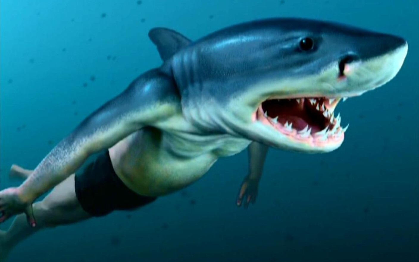 Oamenii s-ar trage din RECHINI. Un mister al evolutiei, elucidat dupa ...
