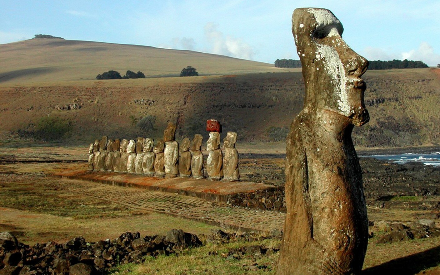 Studiu: Cum au ajuns celebrele statui gigant Moai pe Insula Pastelui ...