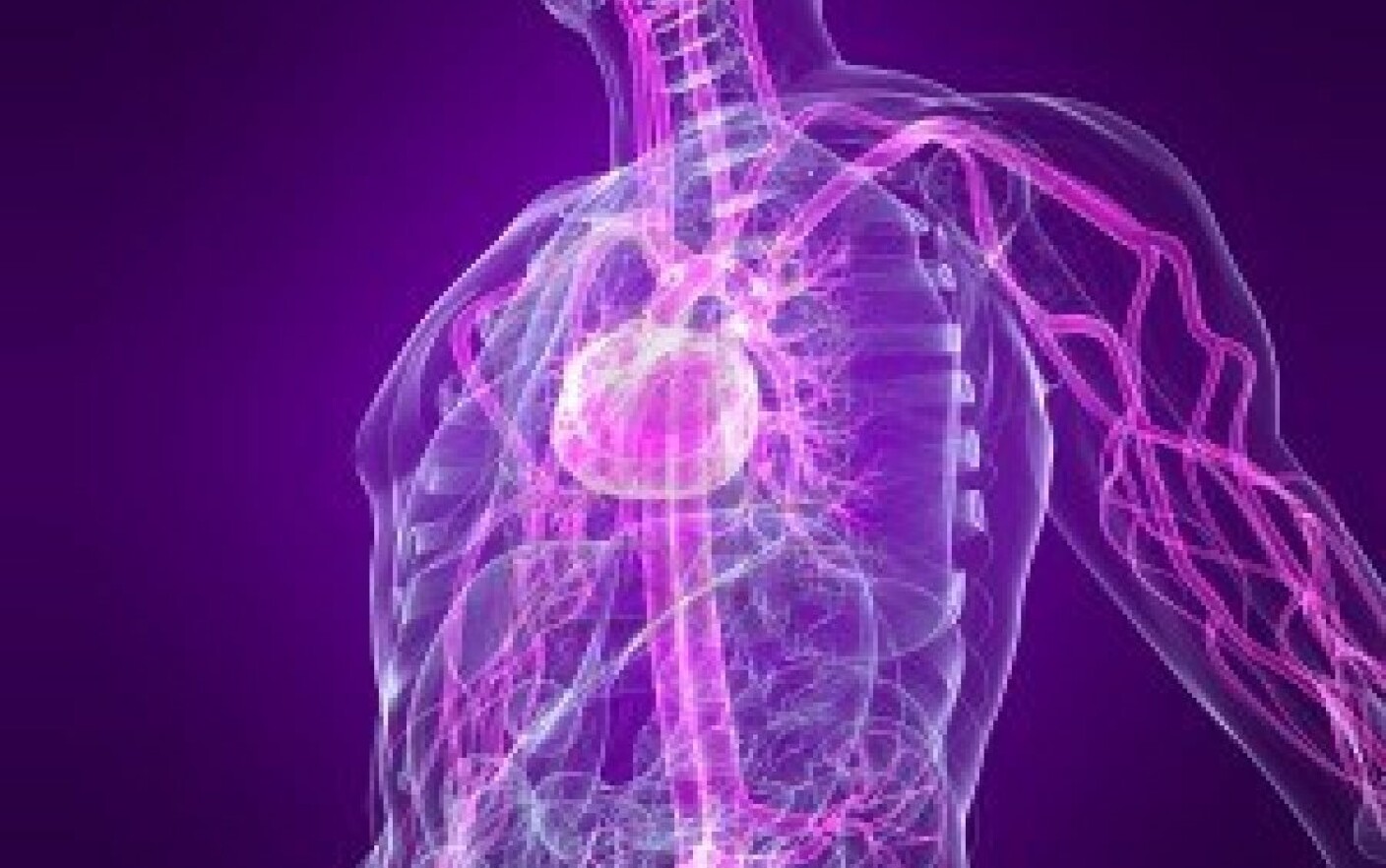 A fost descoperita o noua componenta a corpului uman. "Trebuie rescrise ...