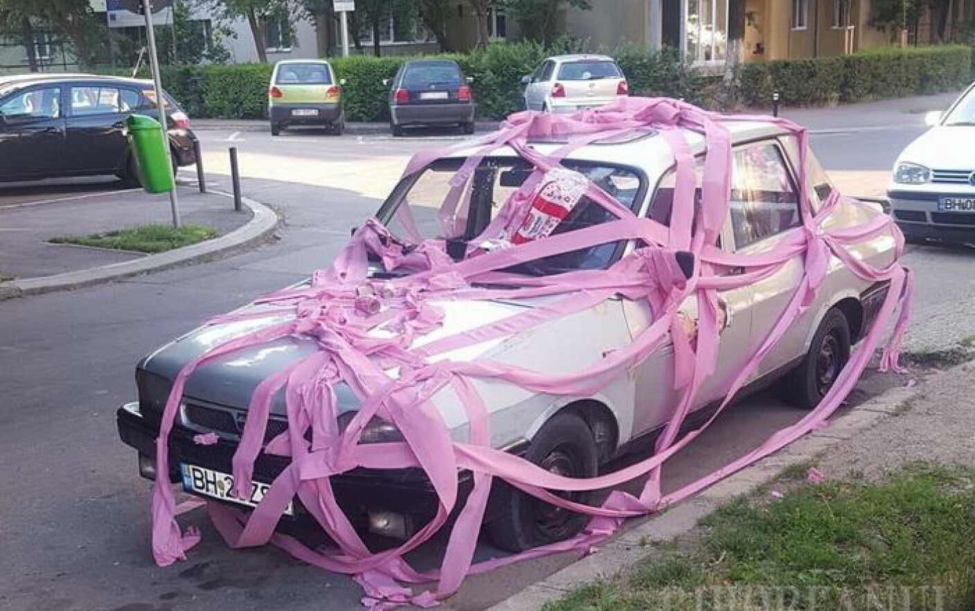 Dacie "invelita" in hartie igienica roz. Surpriza de care a avut parte ...