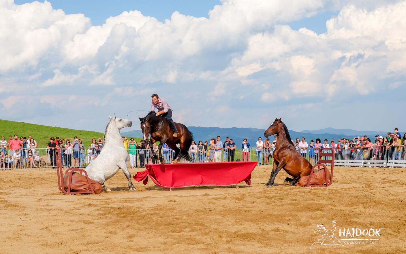 Haidook Summer Fest. Trei zile de show-uri cu haiduci și demonstrații ...