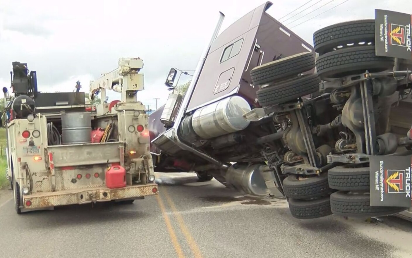 Un autocamion încărcat cu 130 de milioane de albine s-a răsturnat ...