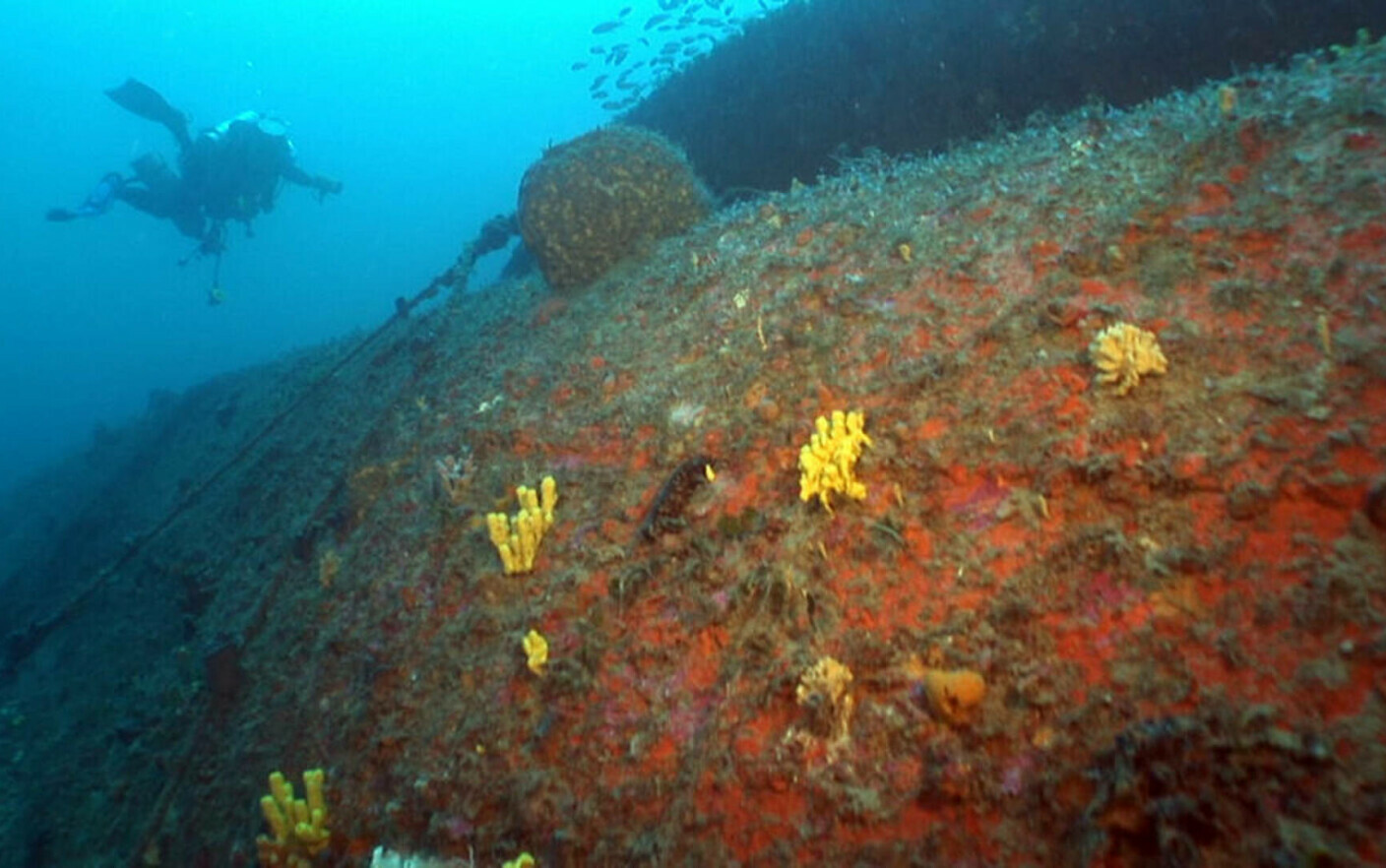 FOTO și VIDEO. Unde a fost descoperită epava submarinului Triumph ...