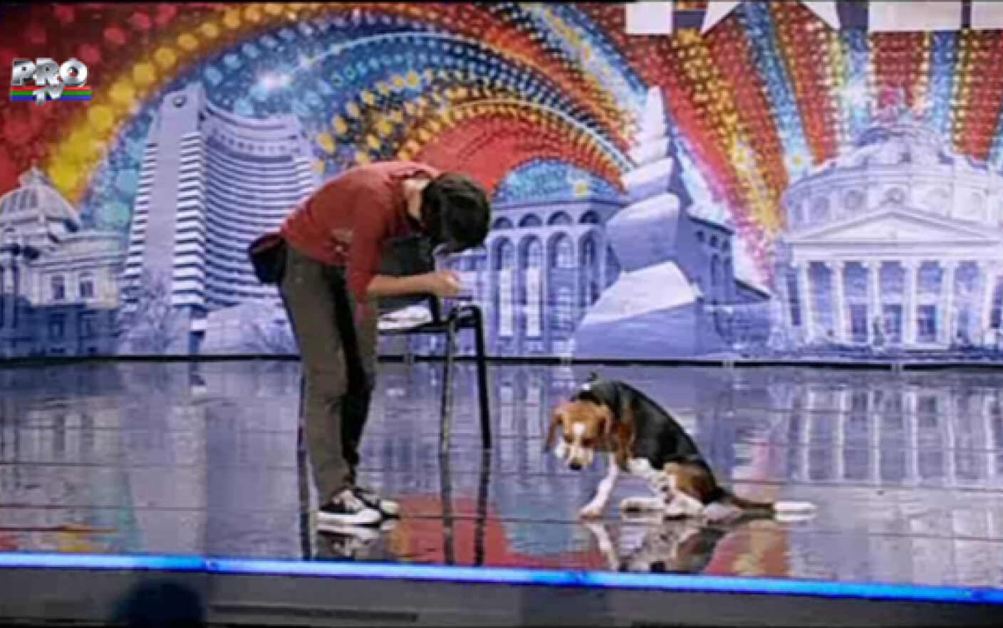 Iulia Lazar, la Romanii au Talent. Catelusa sa, Bailey, a facut un ...