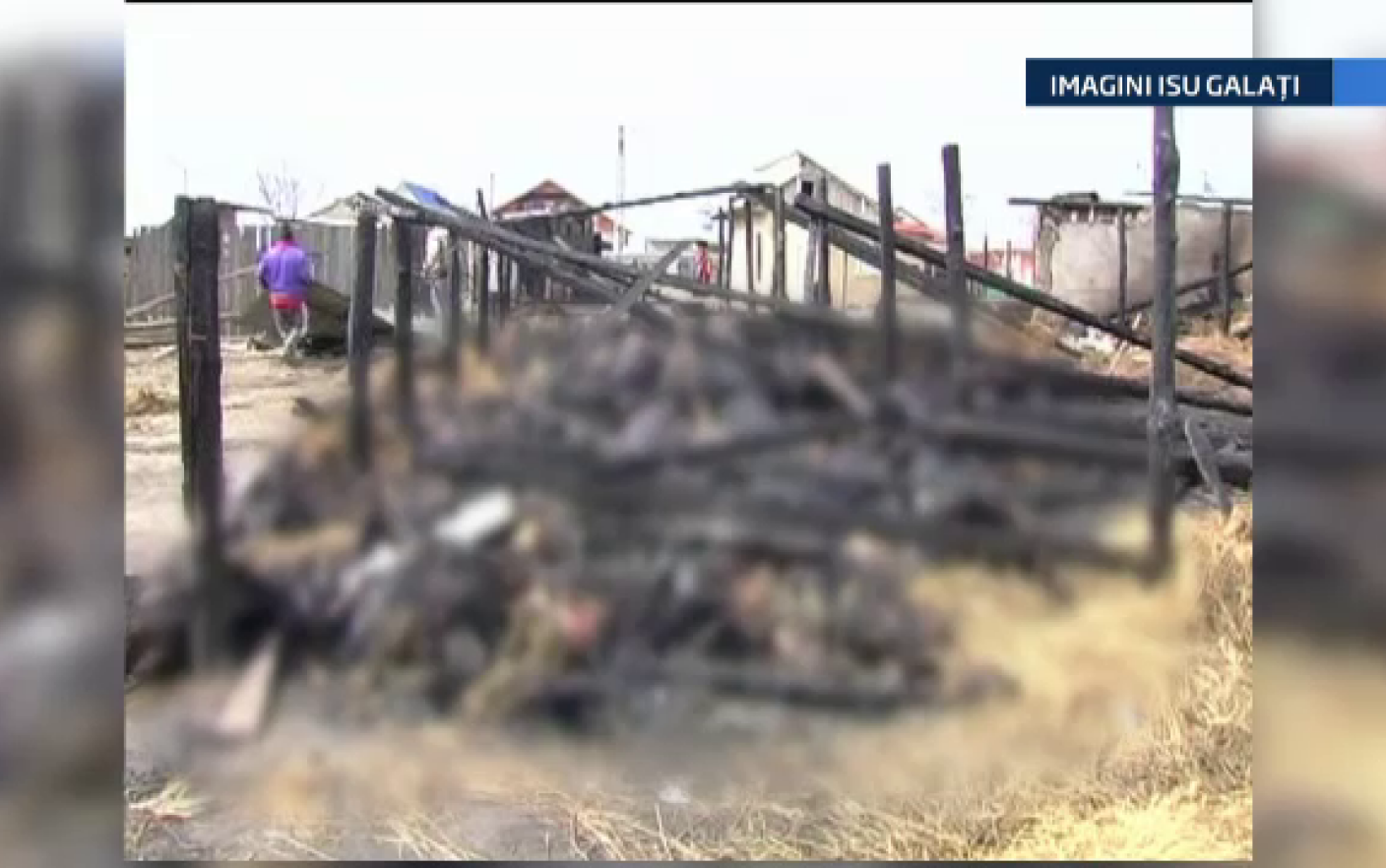 400 de animale si paznicul lor au murit intr-un incendiu, in Galati. O ...