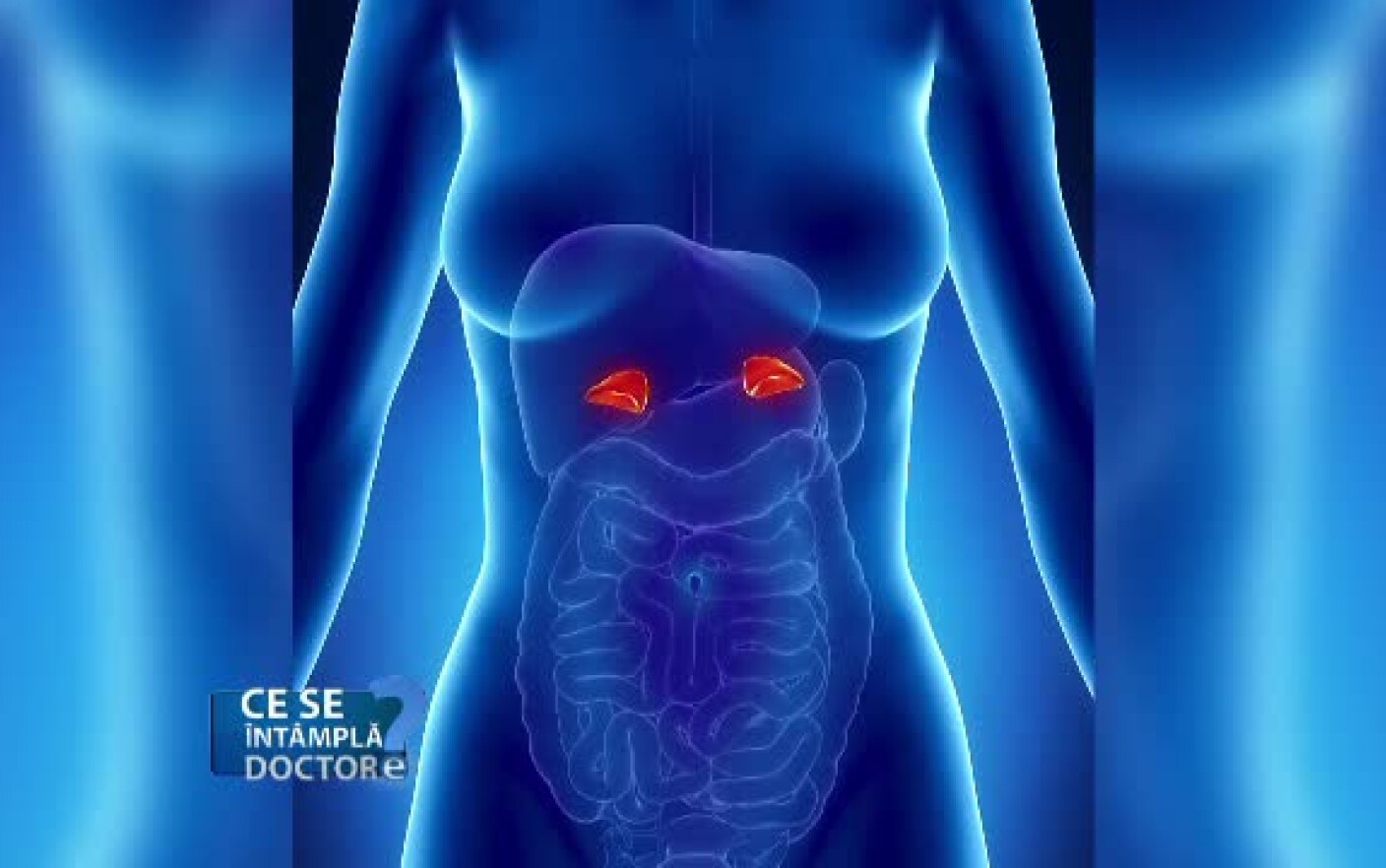 Substanțele care afectează glandele suprarenale, care ne ajută în lupta ...