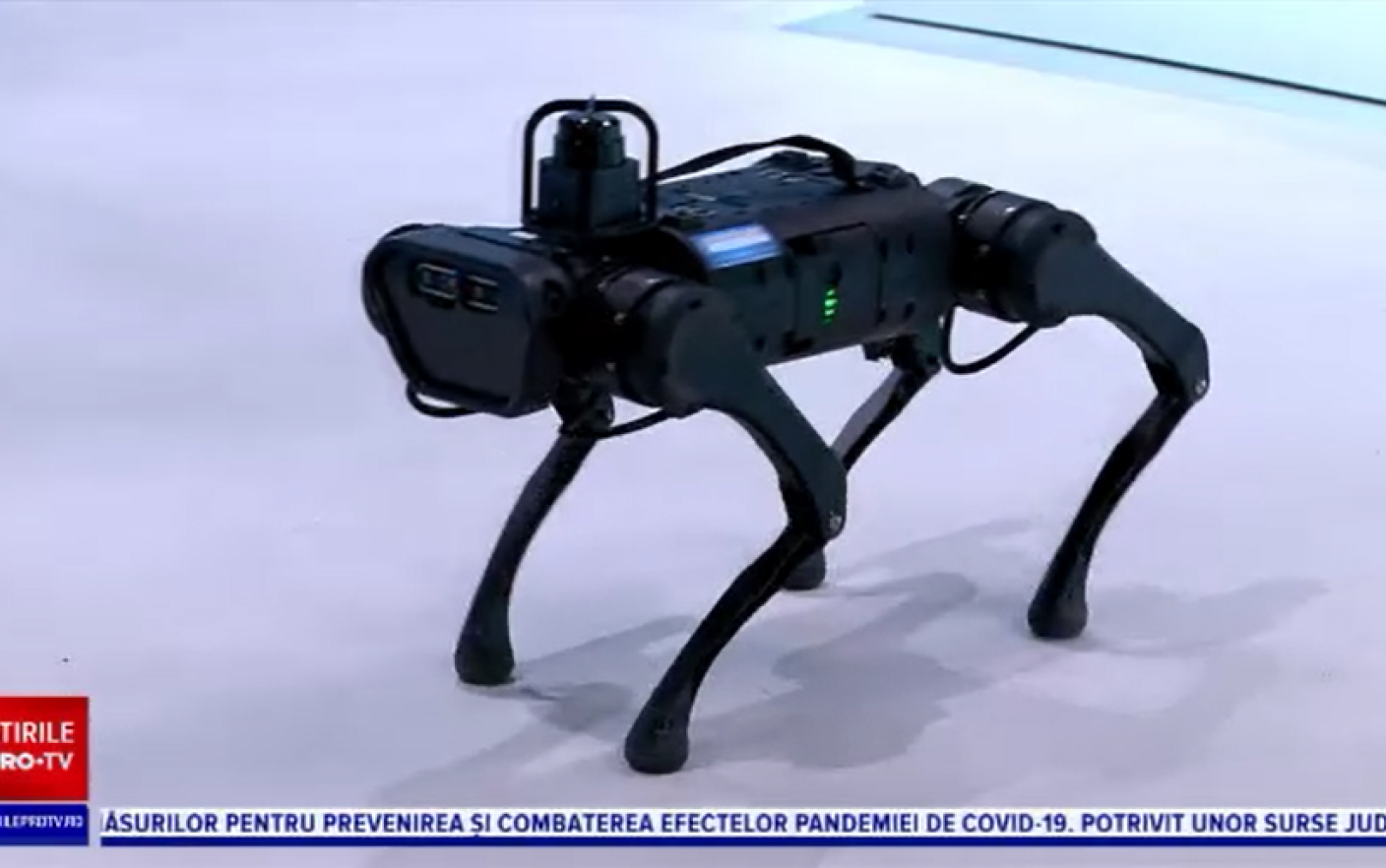 iLikeIT. Nero, primul câine robot din România. Ce poate să facă și cât ...