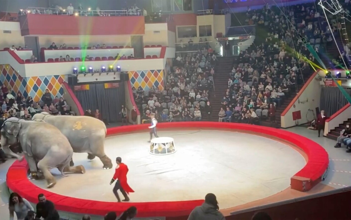 Spectatorii au fugit speriați de la un spectacol de circ după ce ...