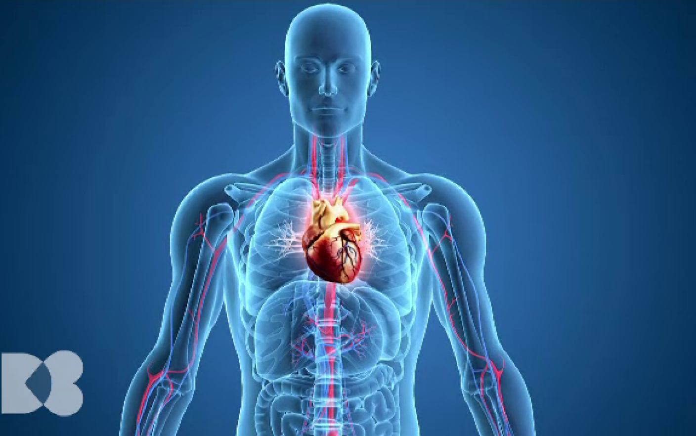 Ce au în comun arterele și venele și cum ajută mersul pe jos la ...