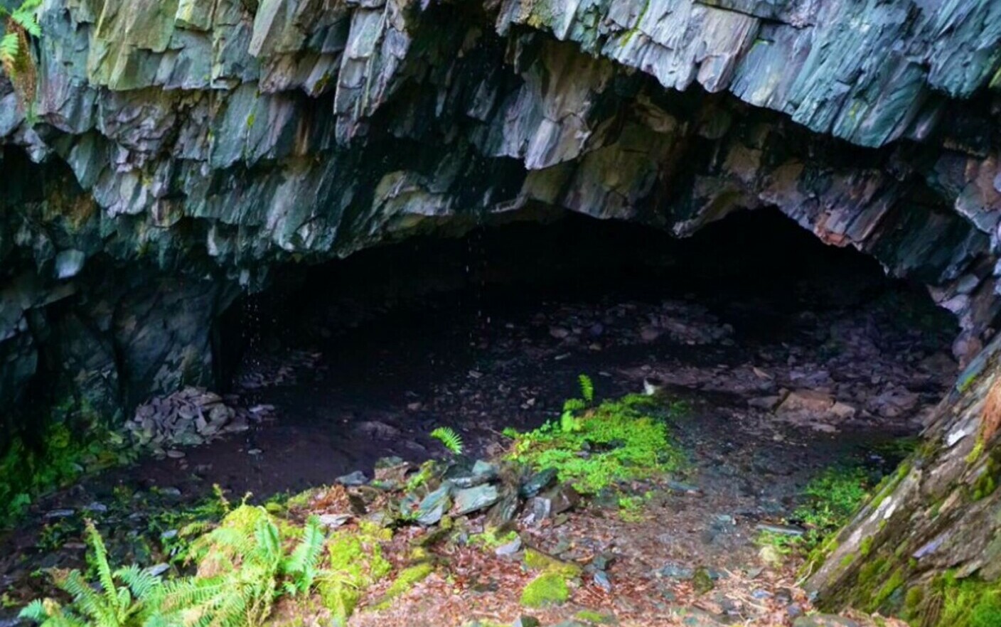 Un bărbat a trăit într-o peșteră timp de 40 de ani. Cum arată grota ...